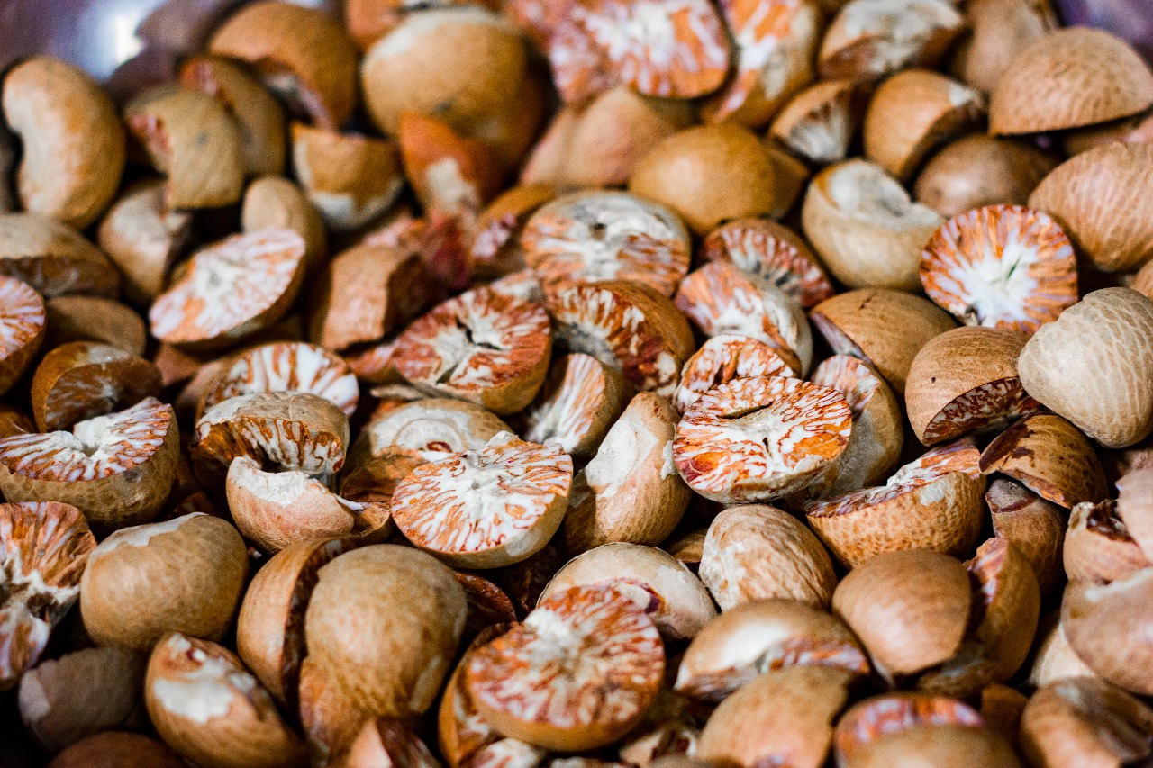 Betel Trade- Buy best quality betel nut and other species